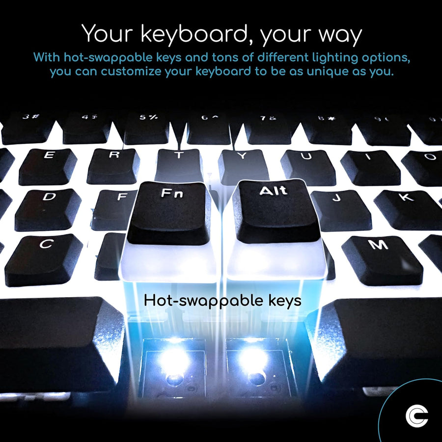 Store – CharaChorder